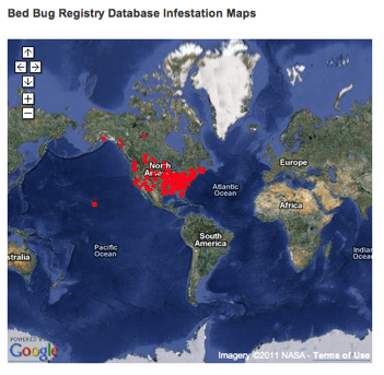 Are Bed Bugs A Wake Up Call For A Nation Spiritually Asleep? - Home ...