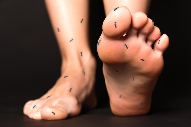 12 Symptoms of Peripheral Neuropathy You Should Not Ignore - Home Cures ...