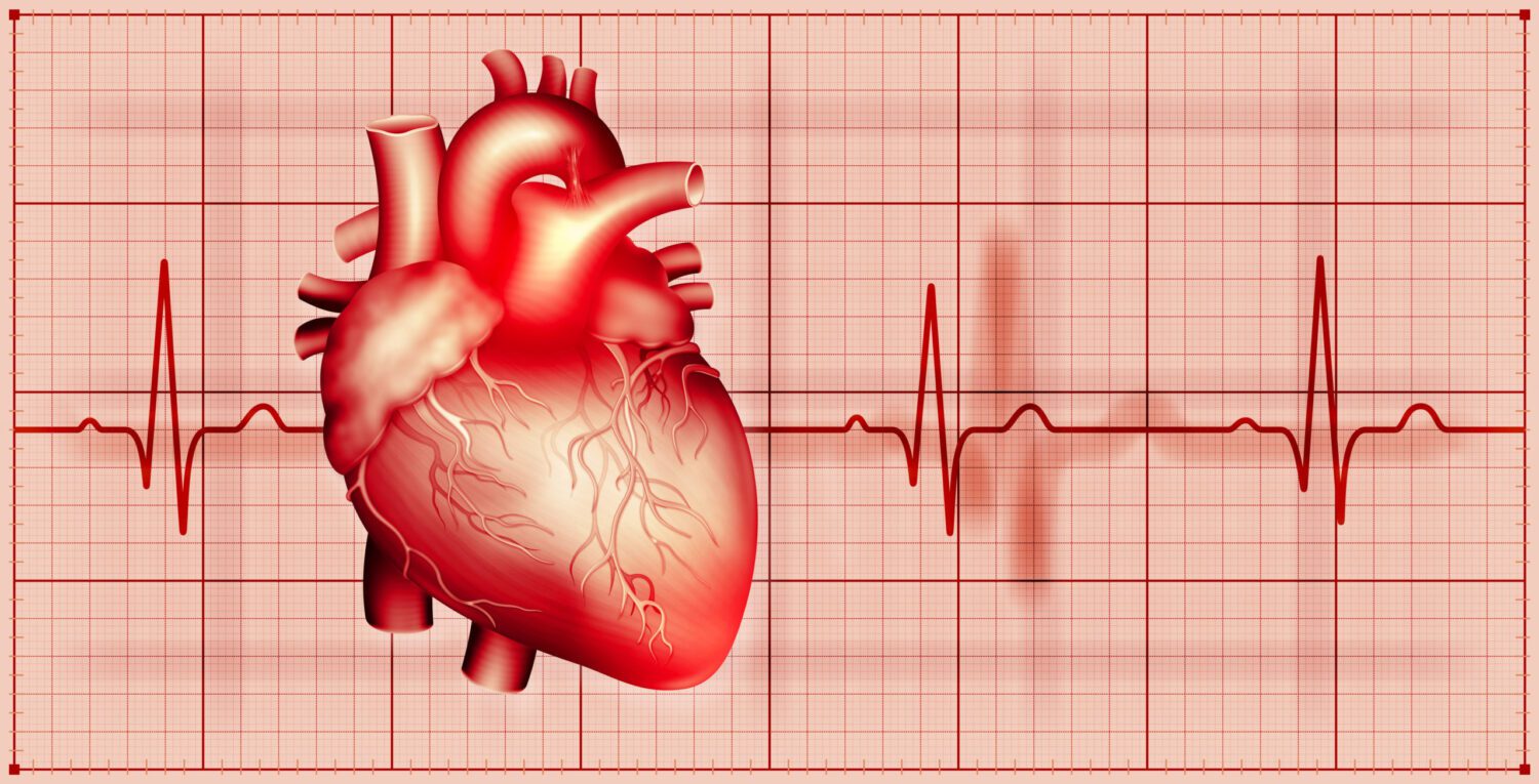 The 7 Best Things You Can Do for Your Heart - Home Cures That Work